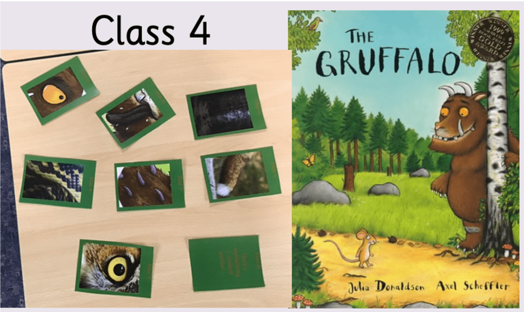 Guess the Book – Answers Revealed – Penpol Primary School