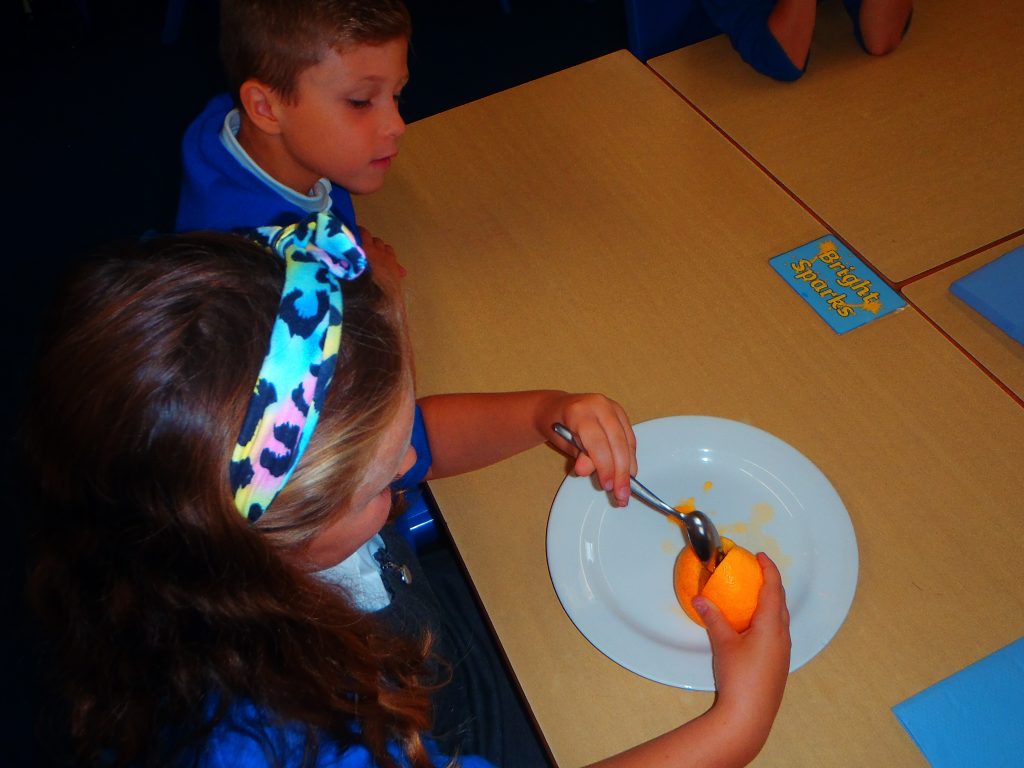 Year 3 – Mummification in Ancient Egypt – Penpol Primary School