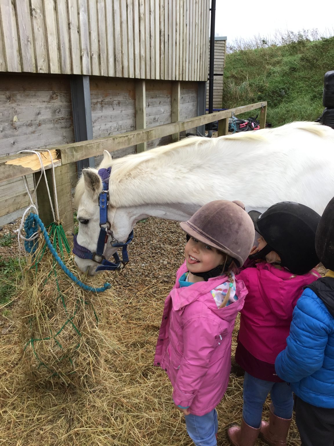 Splendid Standing Stones Stables – Penpol Primary School