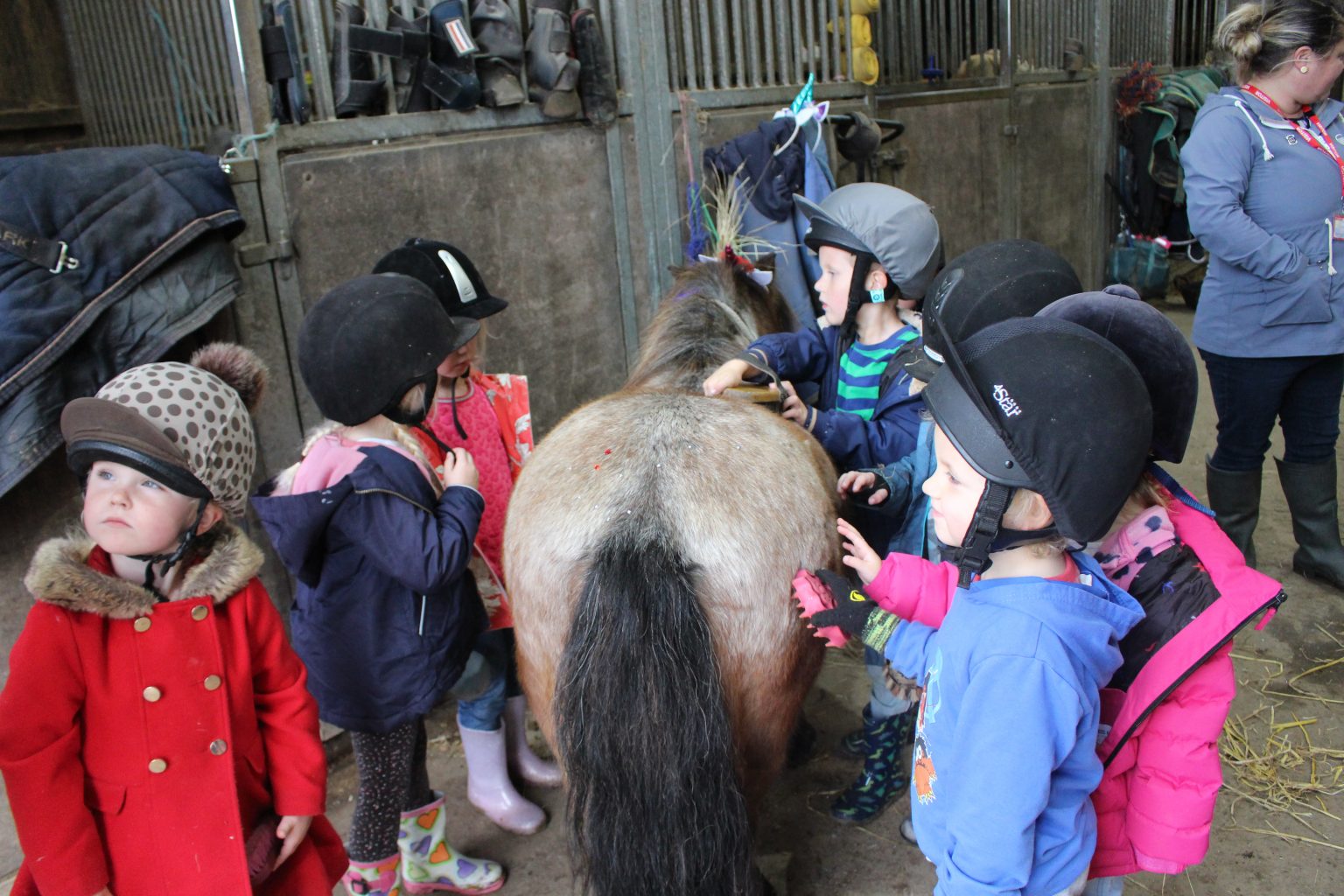 Splendid Standing Stones Stables – Penpol Primary School